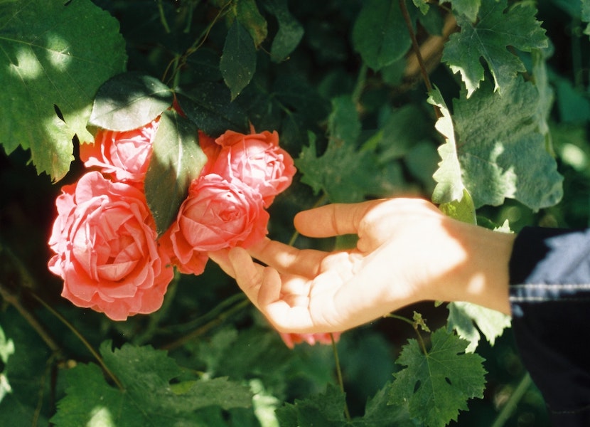 I tried Botox for my hay fever, here’s how it went